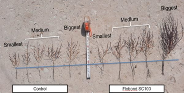 FLOBOND™ SC101 | SNF Agriculture